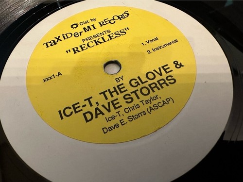 12 Ice T The Glove Dave Storrs Reckless Tebitan Jam Electro Classic | eBay