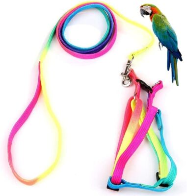 Adjustable Feather Tether Bird Harness and Leash for Macaw Cockatoos ...