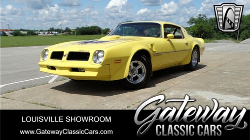 1976 Pontiac Firebird Trans Am | eBay