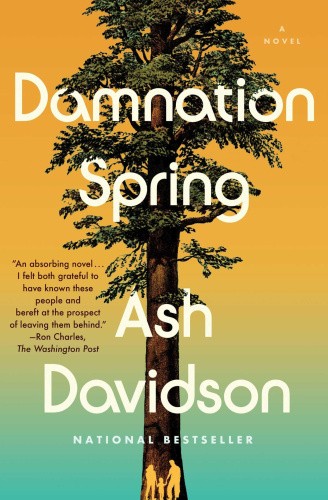 Damnation Spring by Davidson, Ash [Paperback] NEUF | eBay