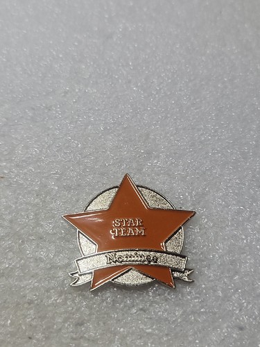 Vintage Collectible Star Team Nominee Metal Pinback Lapel Hat Pin ...