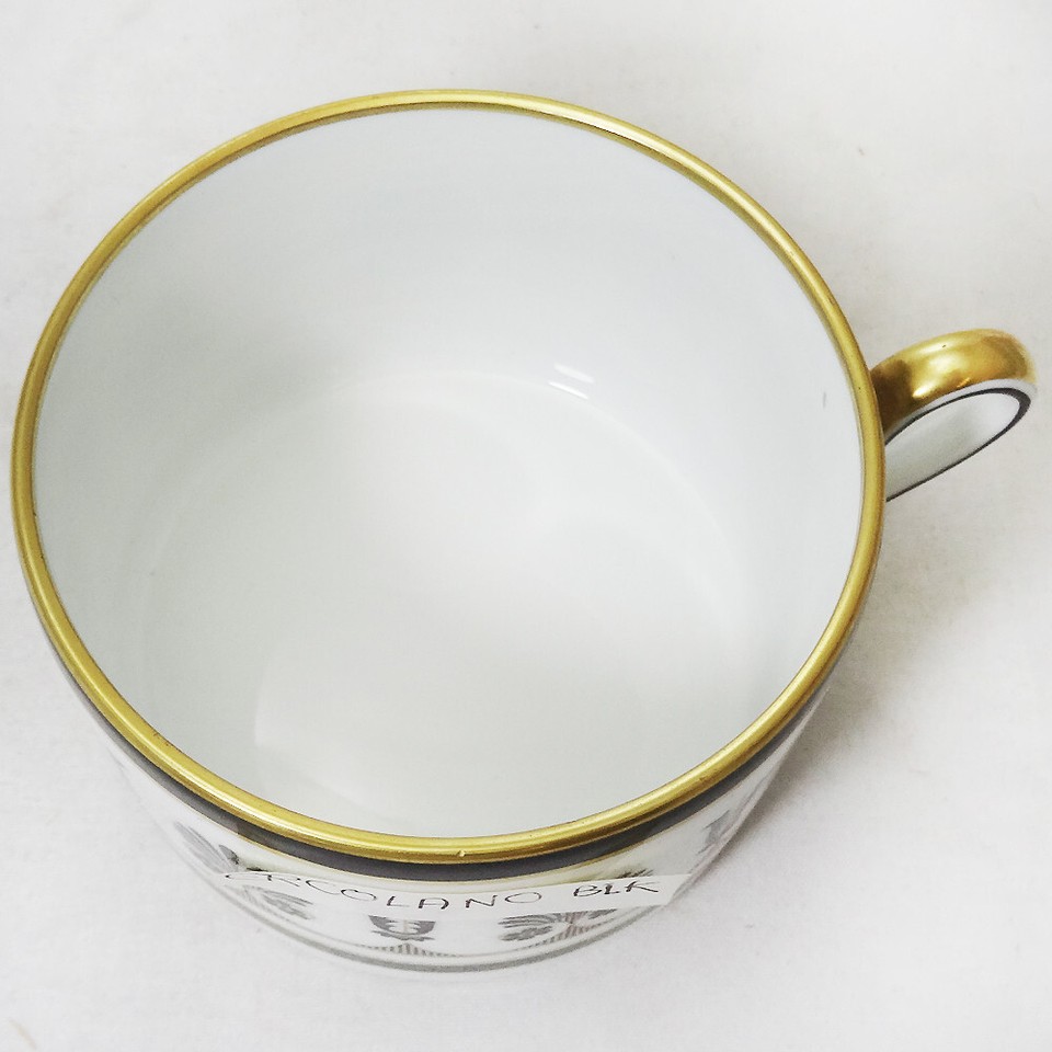 ERCOLANO by Richard Ginori Tea Cup & Saucer Can Shape NEW NEVER USED ...