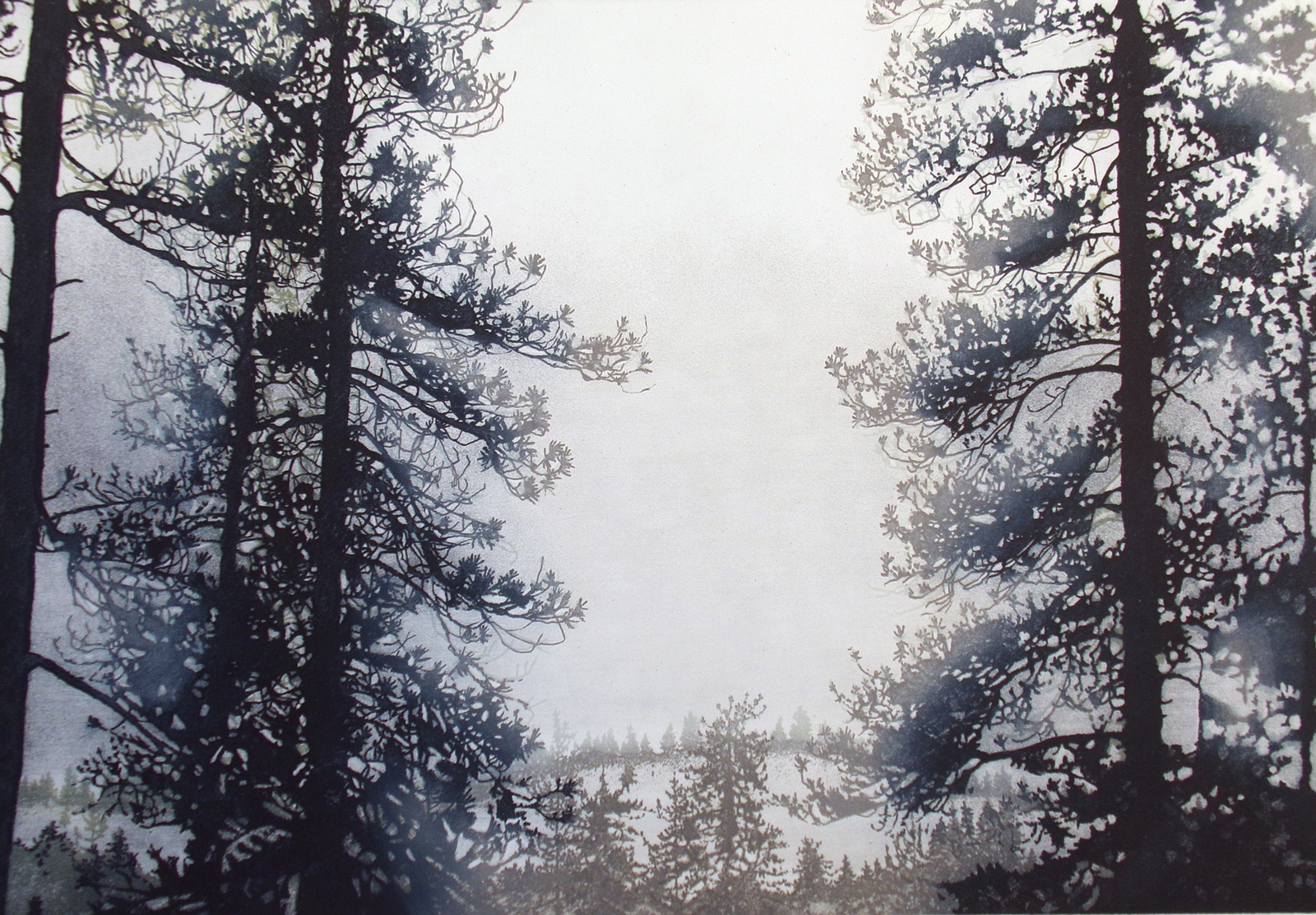 Catherine Ruane O'Connor "Olympia" Signed Numbered Etching pine trees ...