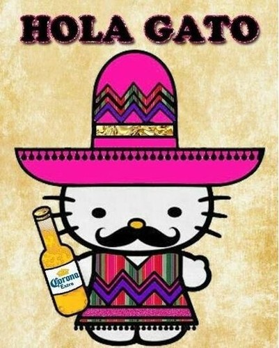 Hello Kitty # 14 Hola Gato 8 x 10 Tee Shirt Iron On Transfer | eBay