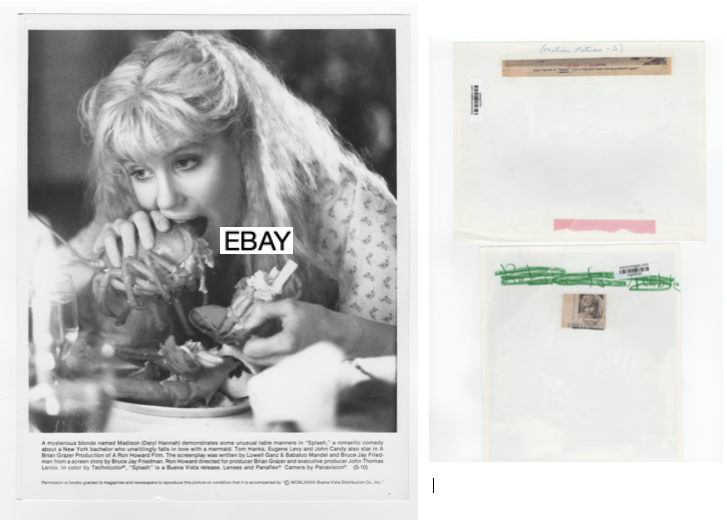 SPLASH 1983 ORIGINAL MOVIE PHOTOS LOT (5) DARYL HANNAH TOM HANKS ...