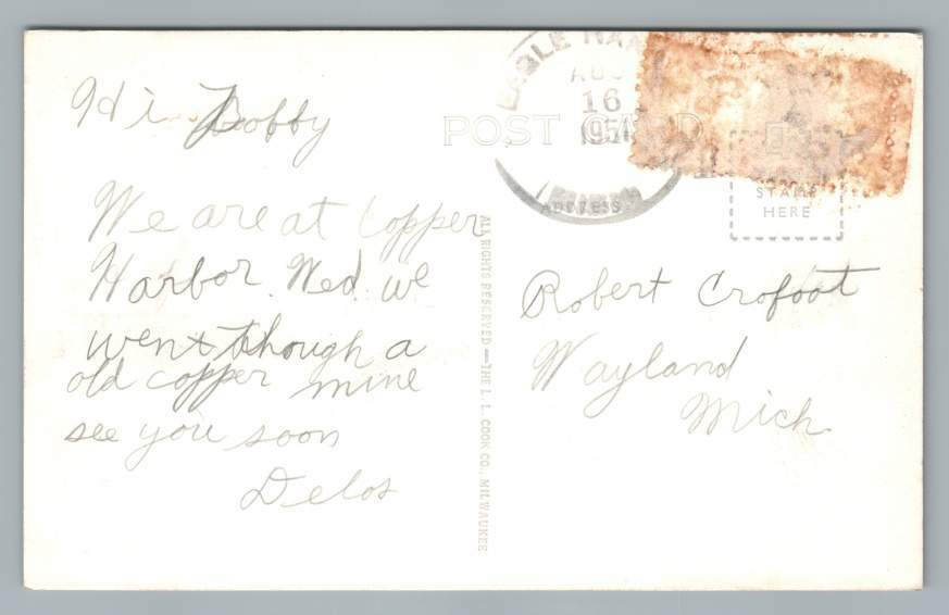 "Chicken & Pea Soup" Vintage Pun Humor Postcard RPPC "Photo" LL Cook ...