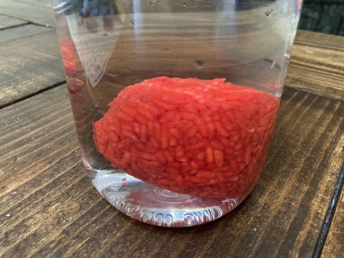 Carp Rice Pack Bait Forever Rice 12+ Pound Bag Super Infused Strawberry ...