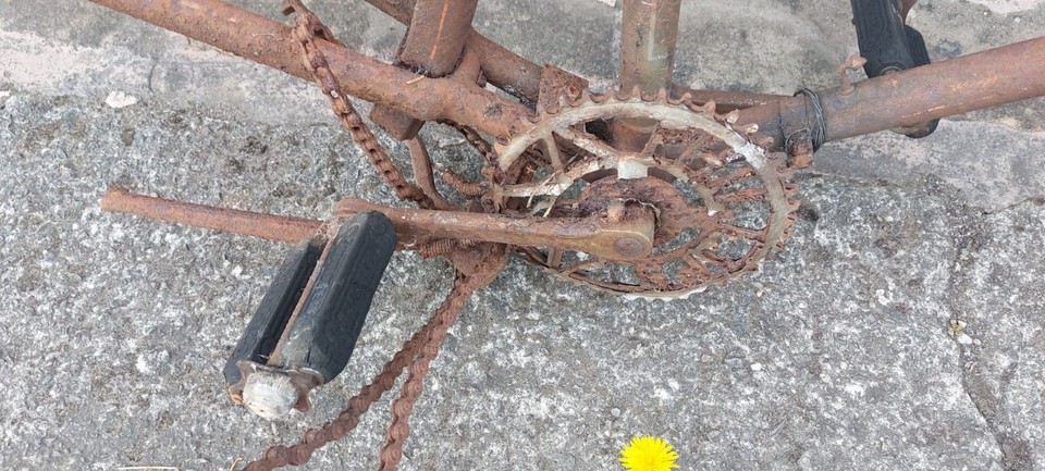 VINTAGE VETERAN PHILIPS PUSH BIKE BICYCLE | eBay UK