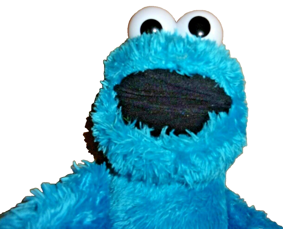 15" 2017 Sesame Street Hasbro Talking Cookie Monster | eBay