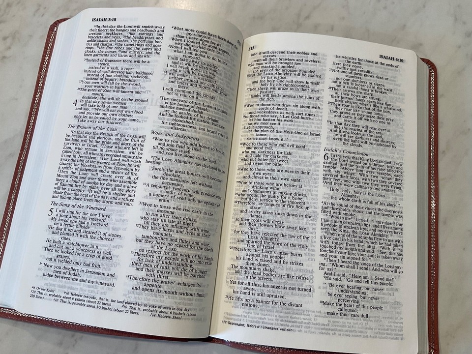 NIV Thinline Bible 1990 Dusty Rose Pink Bonded Leather Text 1984 | eBay UK