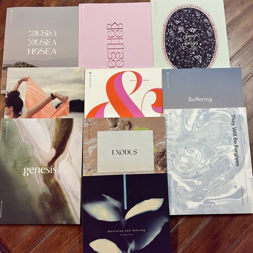 Lot of 10 She Reads Truth Bible Study Guide Bks Old Testament- Genesis ...