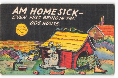 Postcard AM HOMESICK Even Miss Being In Tha Dog House Humor/Comic VTG ...