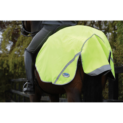 Weatherbeeta 300D Reflective Horse Exercise Sheet - Yellow | eBay UK