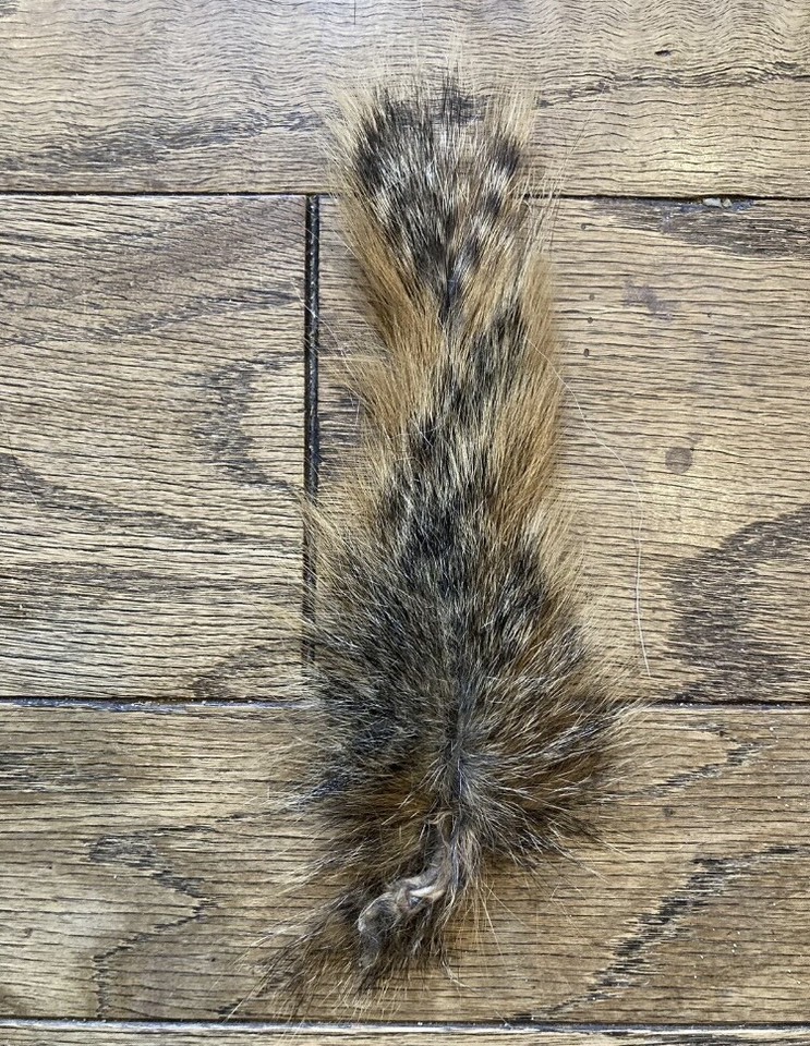 Fly Tying Hair Combo - Tails - 2 Squirrel, 1 Coon, 1 Deer + 3 Deer Hide ...