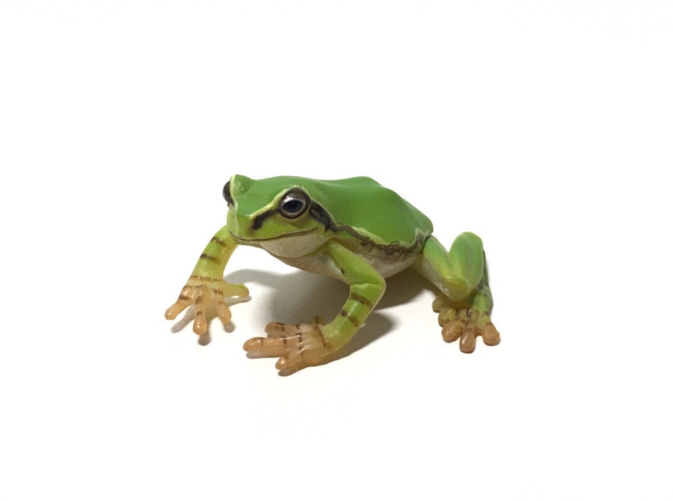 YUJIN Japan Exclusive Japanese Tree Frog Toad mini pvc Animal Figure W ...