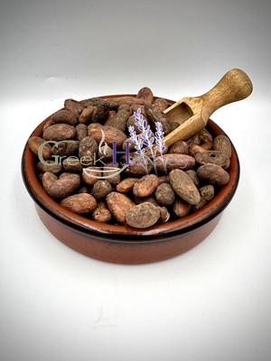 Raw Criollo Whole Cacao Beans 20g-4.9kg Theobroma cacao | eBay