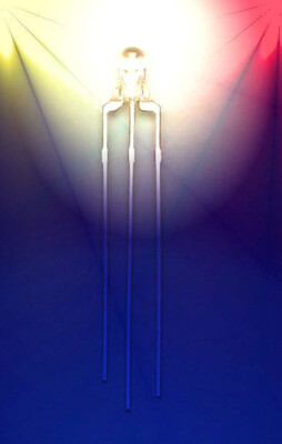 10 Stück Leuchtdioden Led / 3mm BICOLOR rot / weiß gemeinsame Anode ...