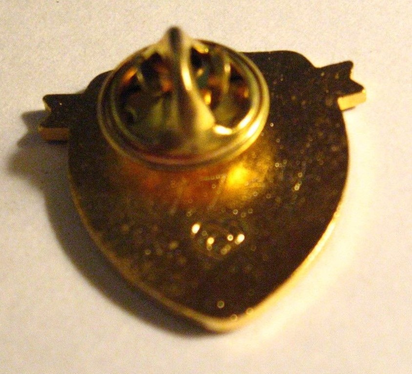 Amarillo Pantex FCU Lapel Pin - Vintage 1988 Federal Credit Union Texas ...