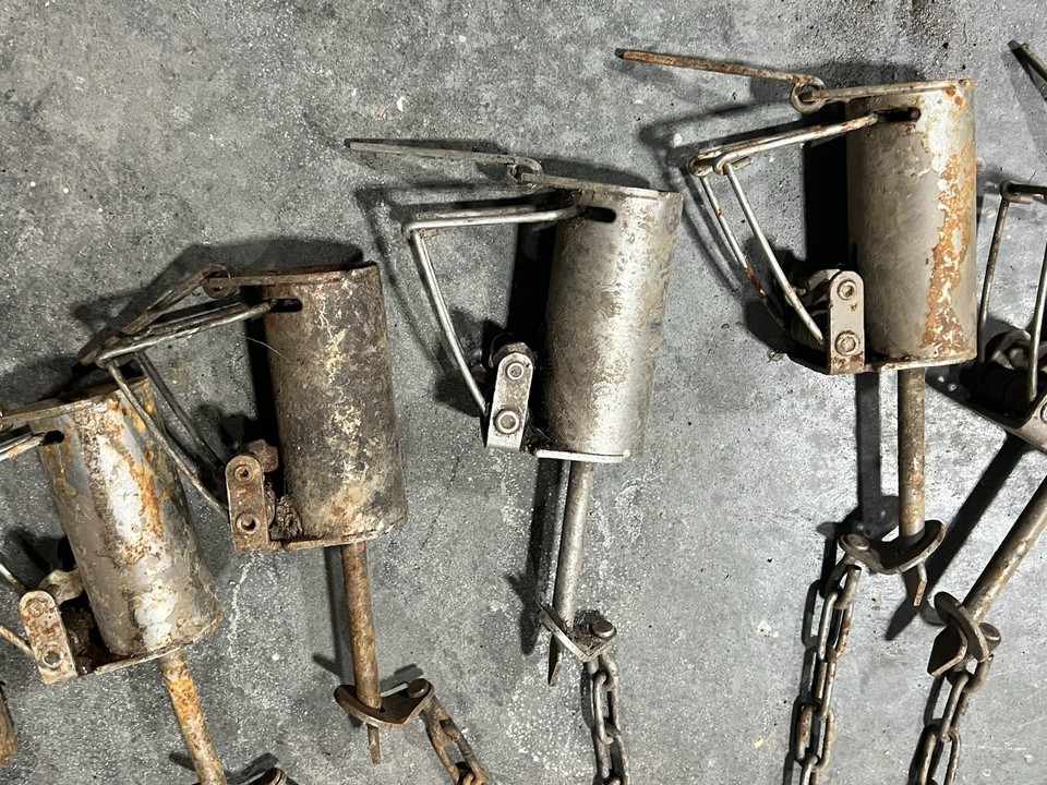 (12) Duke Dog Proof Raccoon Traps | eBay