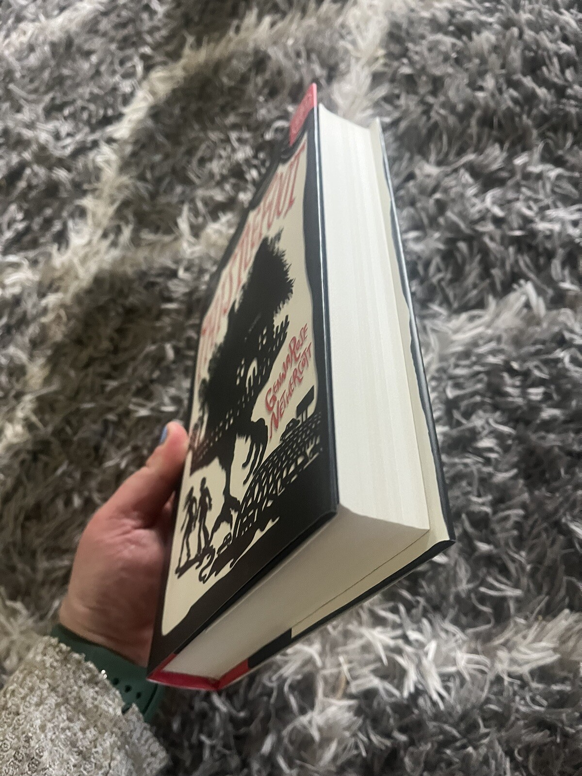 Thistlefoot : A Novel by GennaRose Nethercott (2022, Hardcover) for sale online | eBay