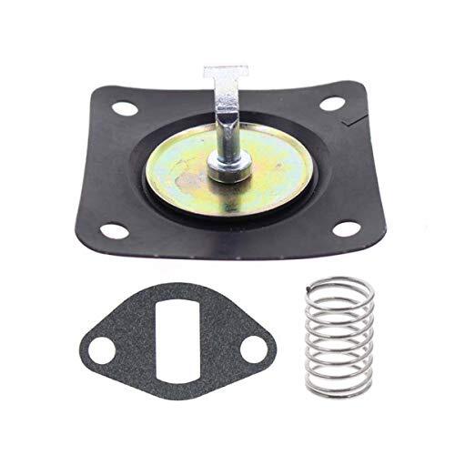 230675 Fuel Pump Rebuild Kit with Spring for Kohler Onan Tractor ...