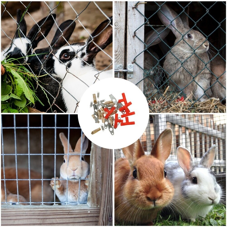 100xDurable Nipple Drinkers Rabbit Automatic Nipple Drinkers Spring ...