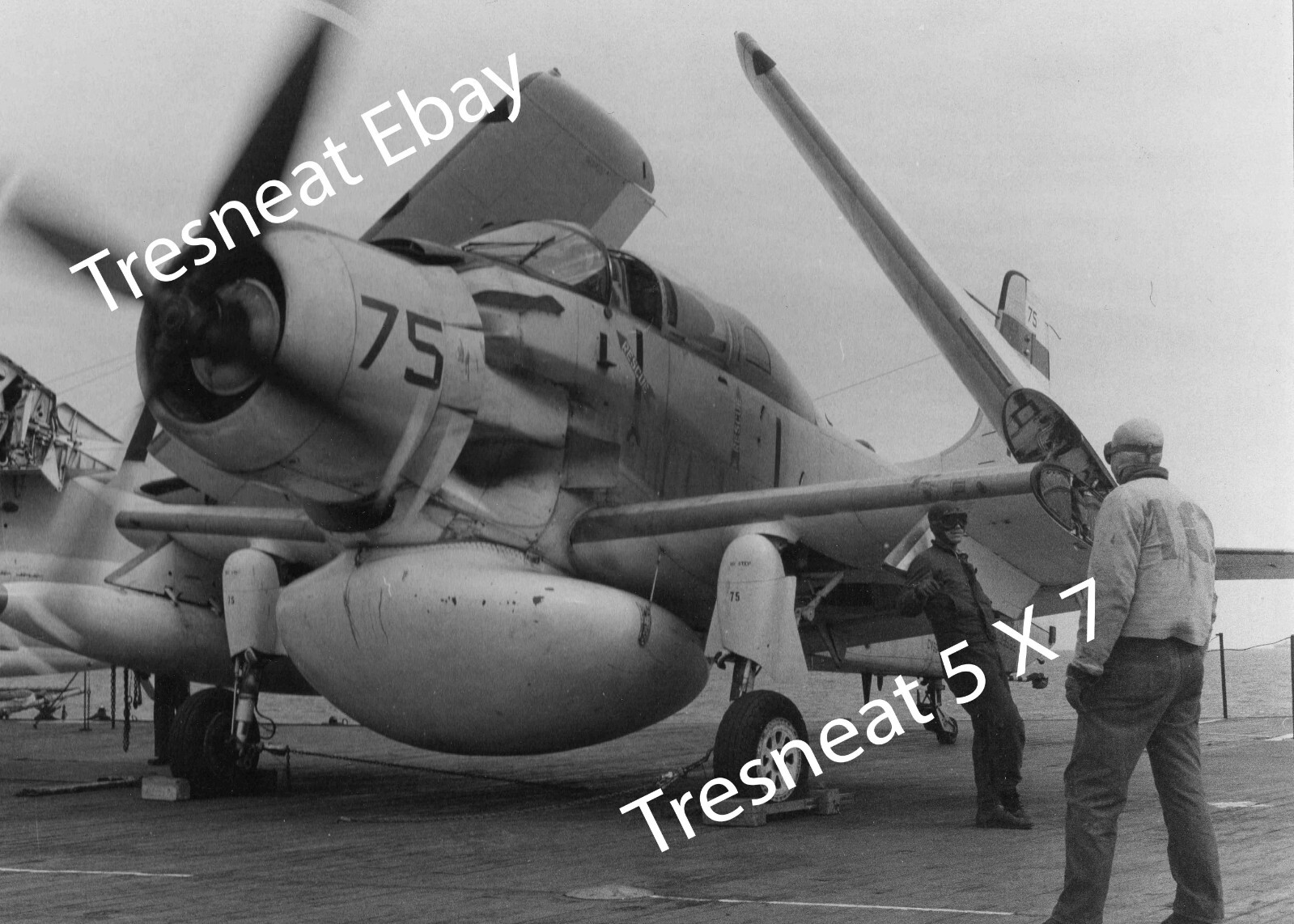 PHOTOGRAPH 1952 Douglas AD-5W Pilot Enlisted Men Plane 8" x 10"; 4" x 6 ...