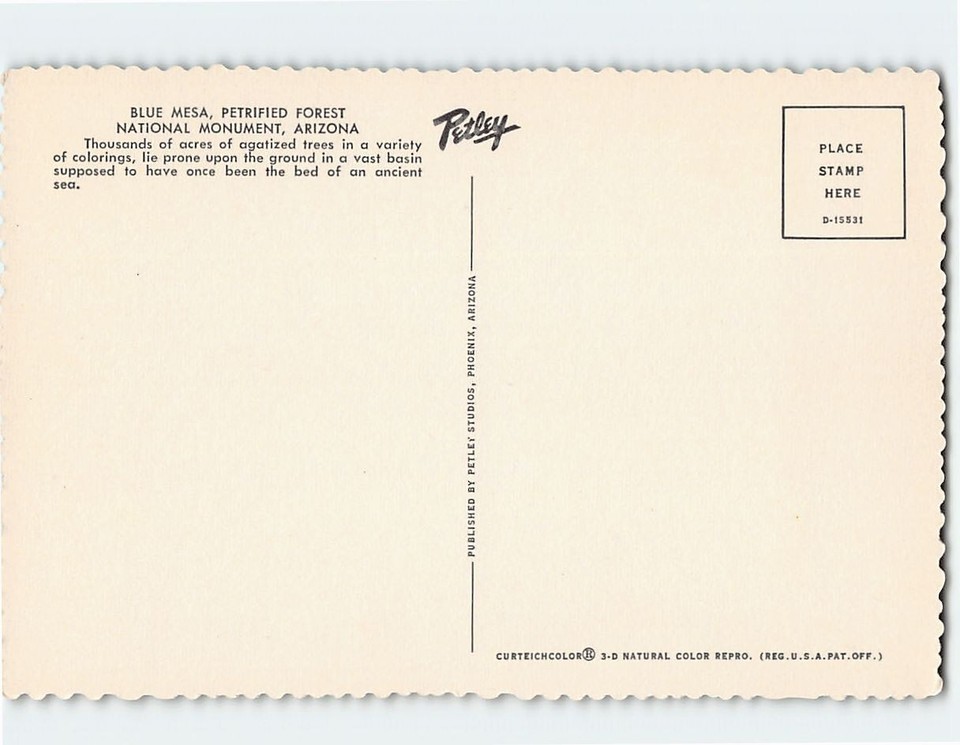 Postcard Blue Mesa Petrified Forest National Monument Arizona USA | eBay