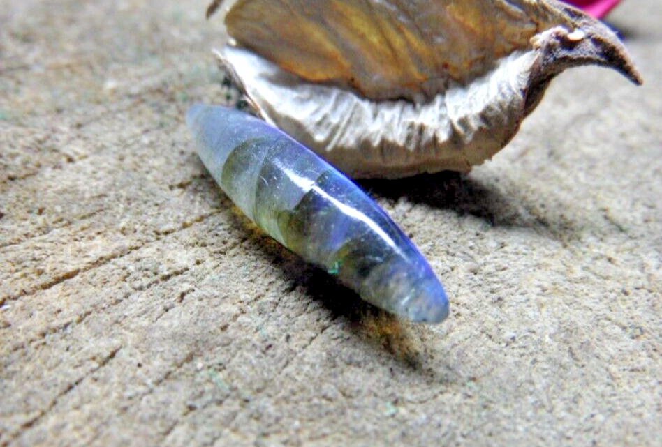 Natural Labradorite Bone Septum Tusk, Handmade Septum Spike Nose ...