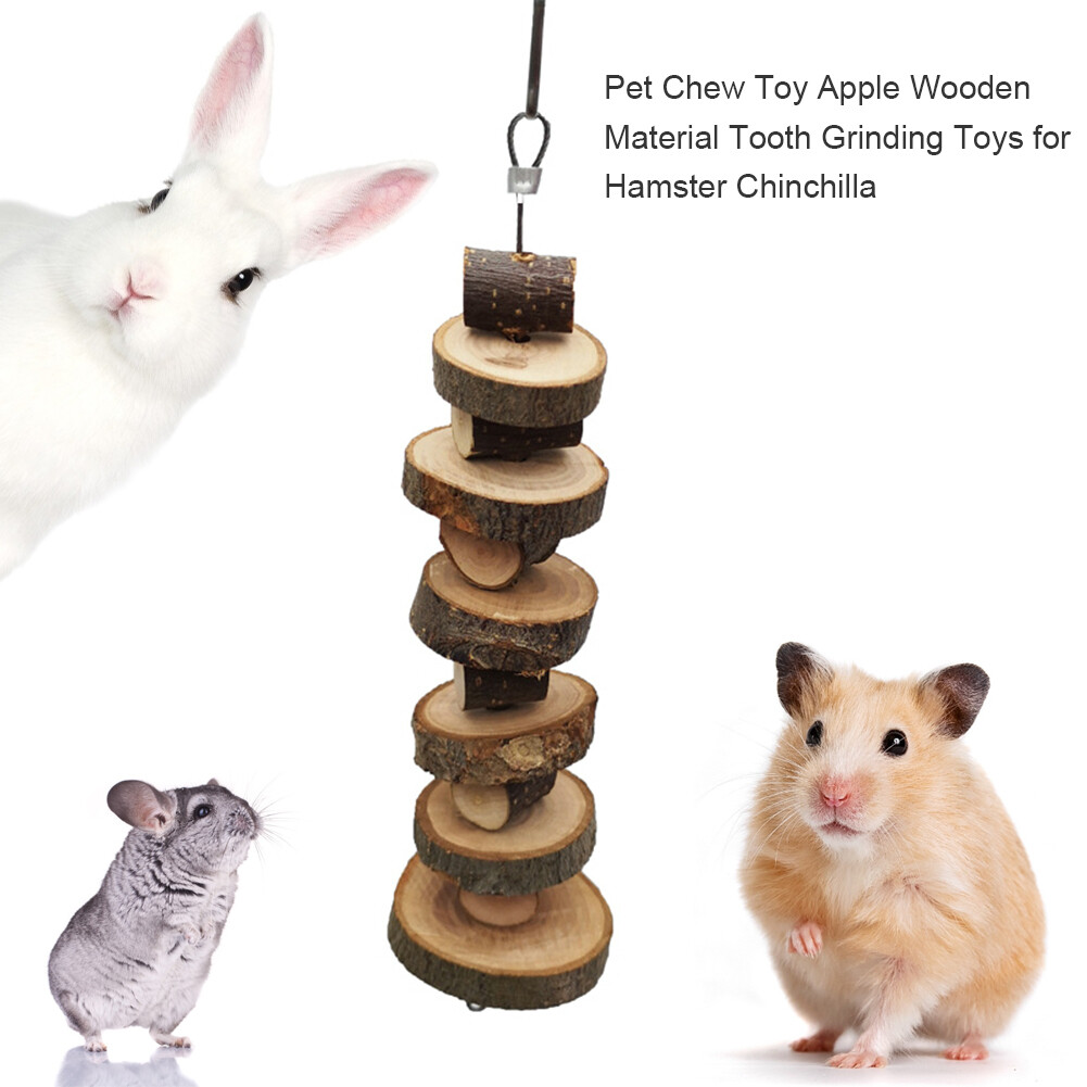 Chinchilla Chew Toys