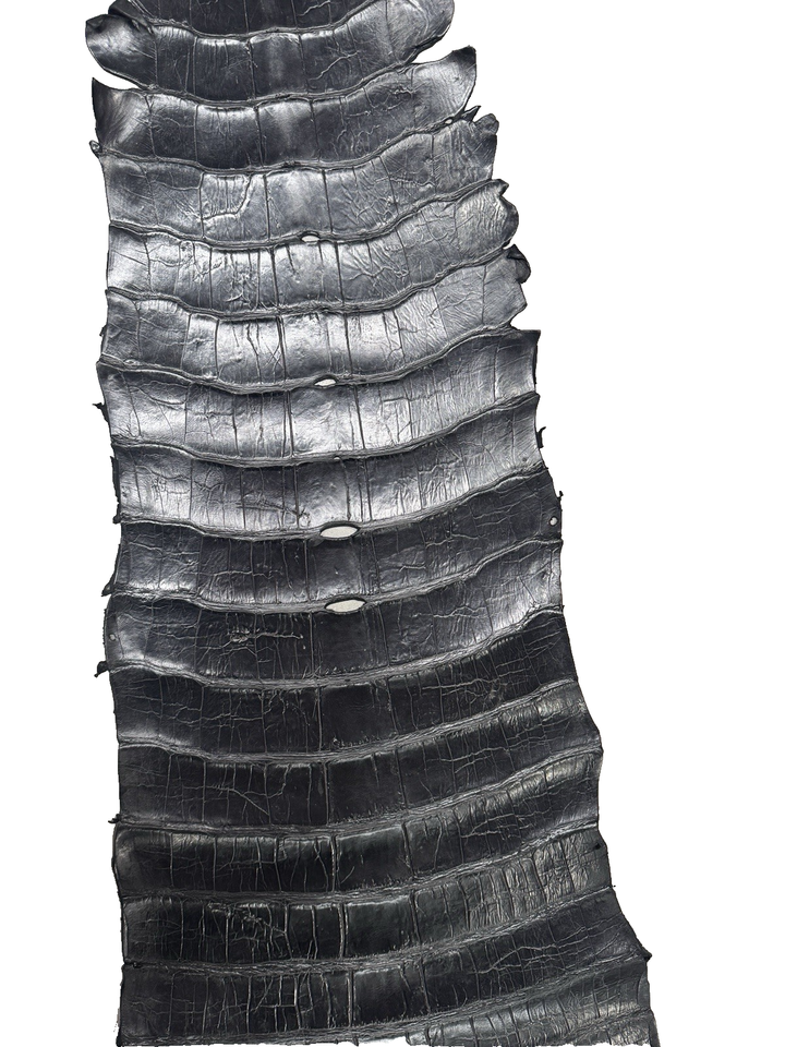 GenuinAmerican Alligator Hide 12' L | eBay