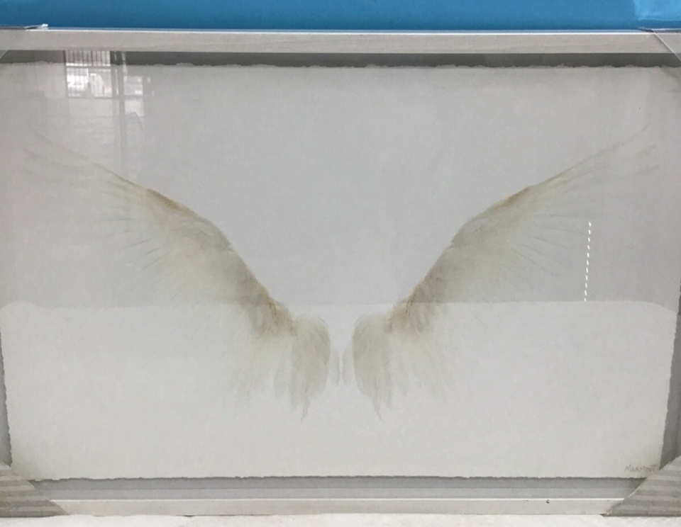 Marmont Hill Angel Wings Shadow Box Artwork - 24x16" | eBay