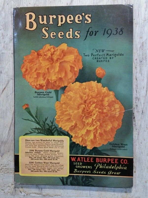 Burpee Flower Seed Packets Non Gmo Burpee Cutting Mix Wildflower