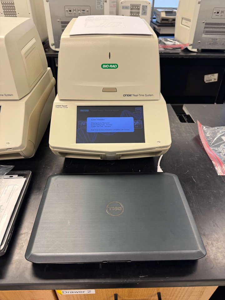 BIO-RAD CFX96 C1000 TOUCH Real-Time PCR System Year 2020-New ...