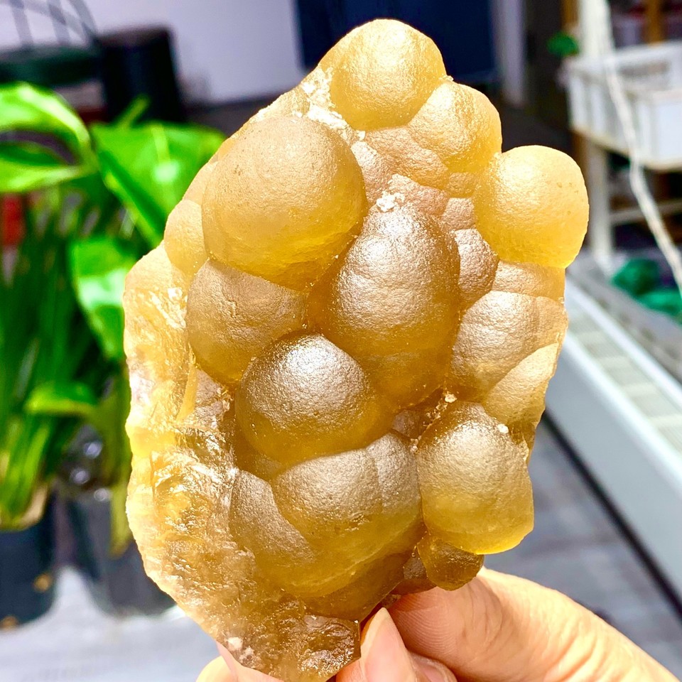 384G Natural transparent bubble shaped yellow flour cluster spiritual ...