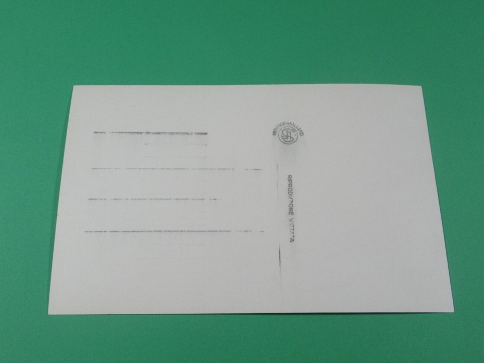 VINTAGE RODOLFO RUDOLPH VALENTINO POSTCARD W/ PIPE THE LATIN LOVER B ...