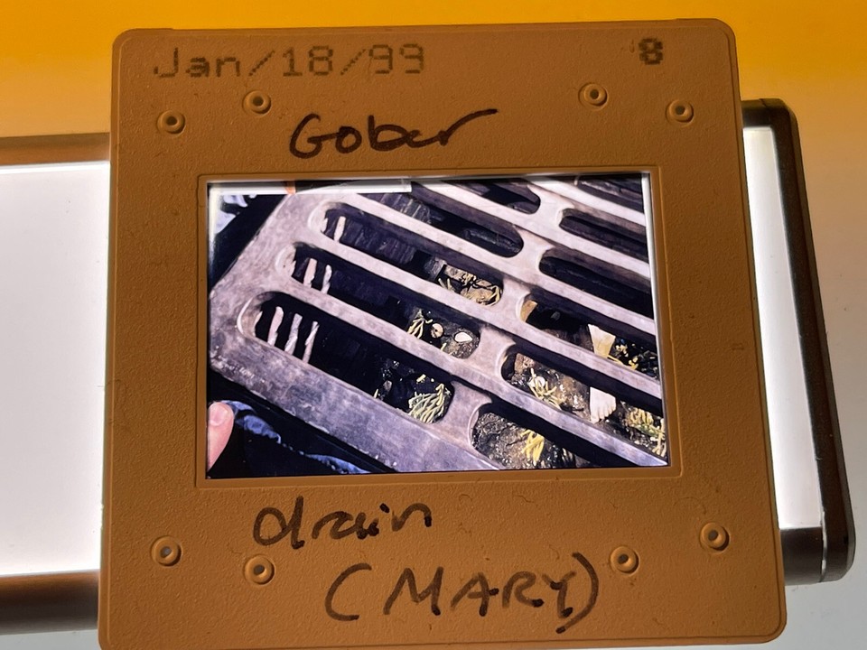 Robert Gober "Drain" American Sculpture 35mm Art Slide | eBay