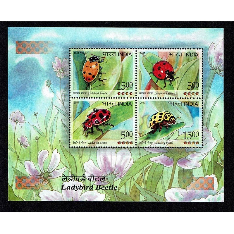 FR1831 - 2017 India The Insects: Ladybugs Sheet MNH | eBay