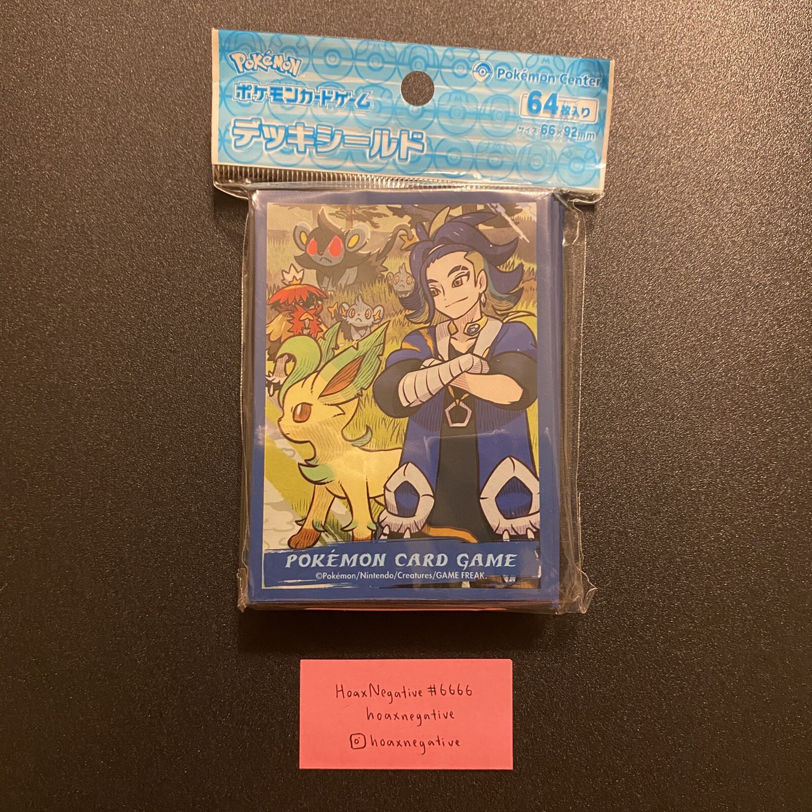 Pokémon Center Japan HISUI DAYS Adaman Card Sleeves 64 COUNT ~ US ...