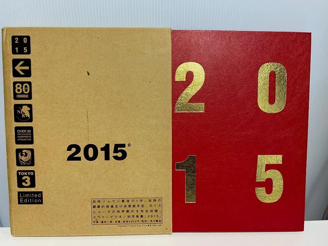 2015 The last year of Ryohji Kaji - その他