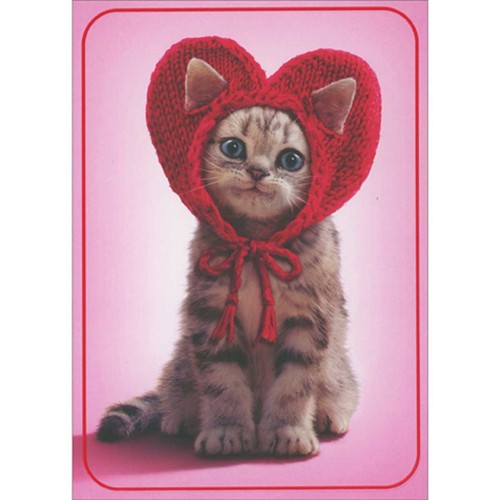 Avanti Press Kitten Wearing Knit Red Heart Cap Cute Cat Valentine's Day ...