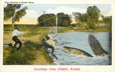 Vintage Postcard Fishing Exaggeration, Great Fishing in Union WA Mason ...