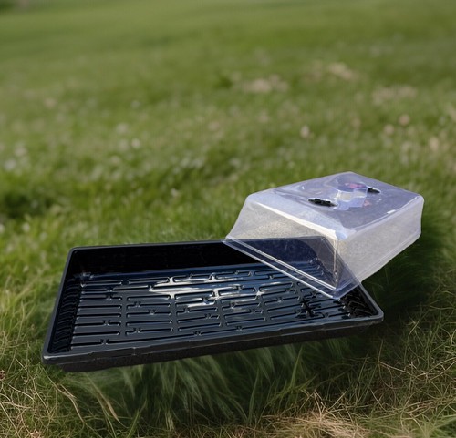 Lot 33 Vented Humidity Dome Mushroom Fruiting Incubating Chamber Kit ...