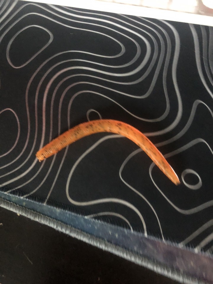 florescent orange Castaway Creation 5inch Senkos 6 Worms A Package | eBay