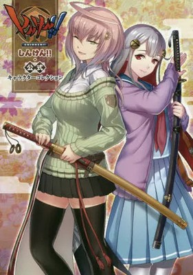 Anime Mook Pc Smartphone Game Book Shinken Official Character ...