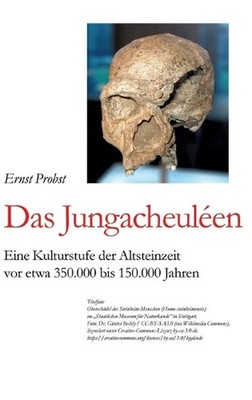 Das Jungacheulen: Eine Kulturstufe der Altsteinzeit vor etwa 350.000 ...