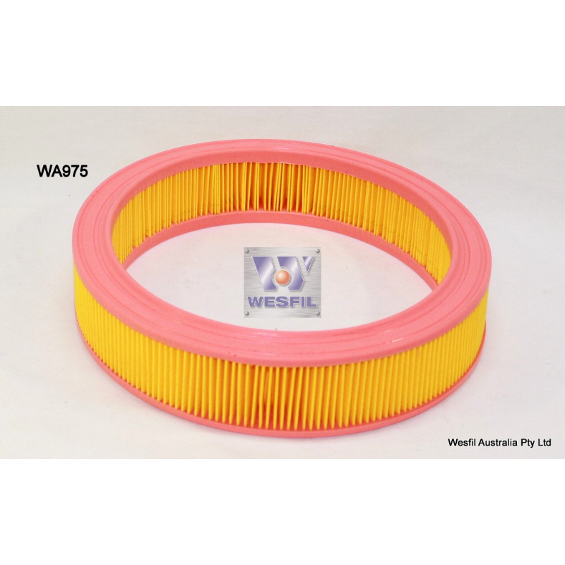 Wesfil Cooper Air Filter Wa975 A1537 suits Vw | eBay