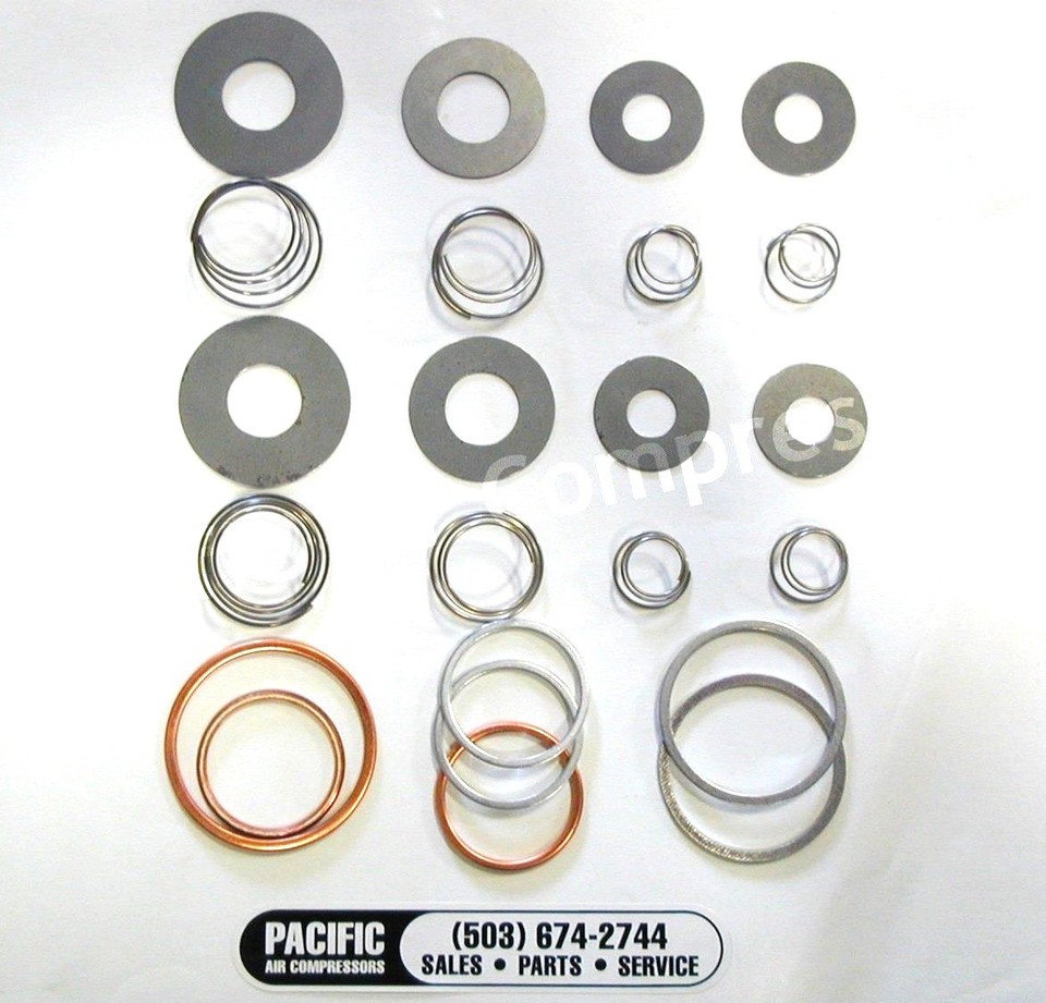 CHAMPION VALVE REBUILD KIT FOR MODEL, R30 R30A , R30C , | eBay