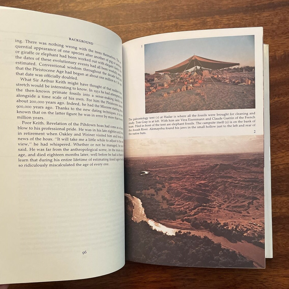 Lucy Beginnings of Humankind Australopithecus Anthropology Donald ...