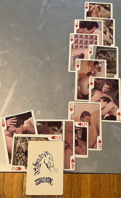 Stallion All-Male Full-Color Playing cards | eBay